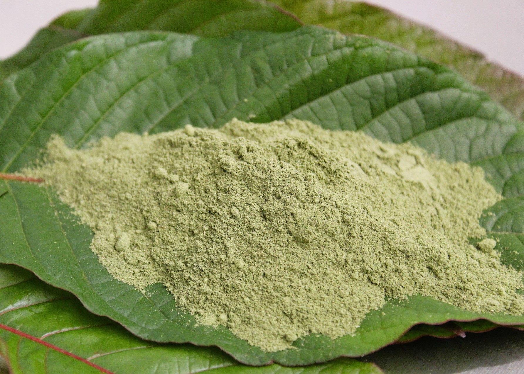 Kratom Powder - Miami Botany Kratom